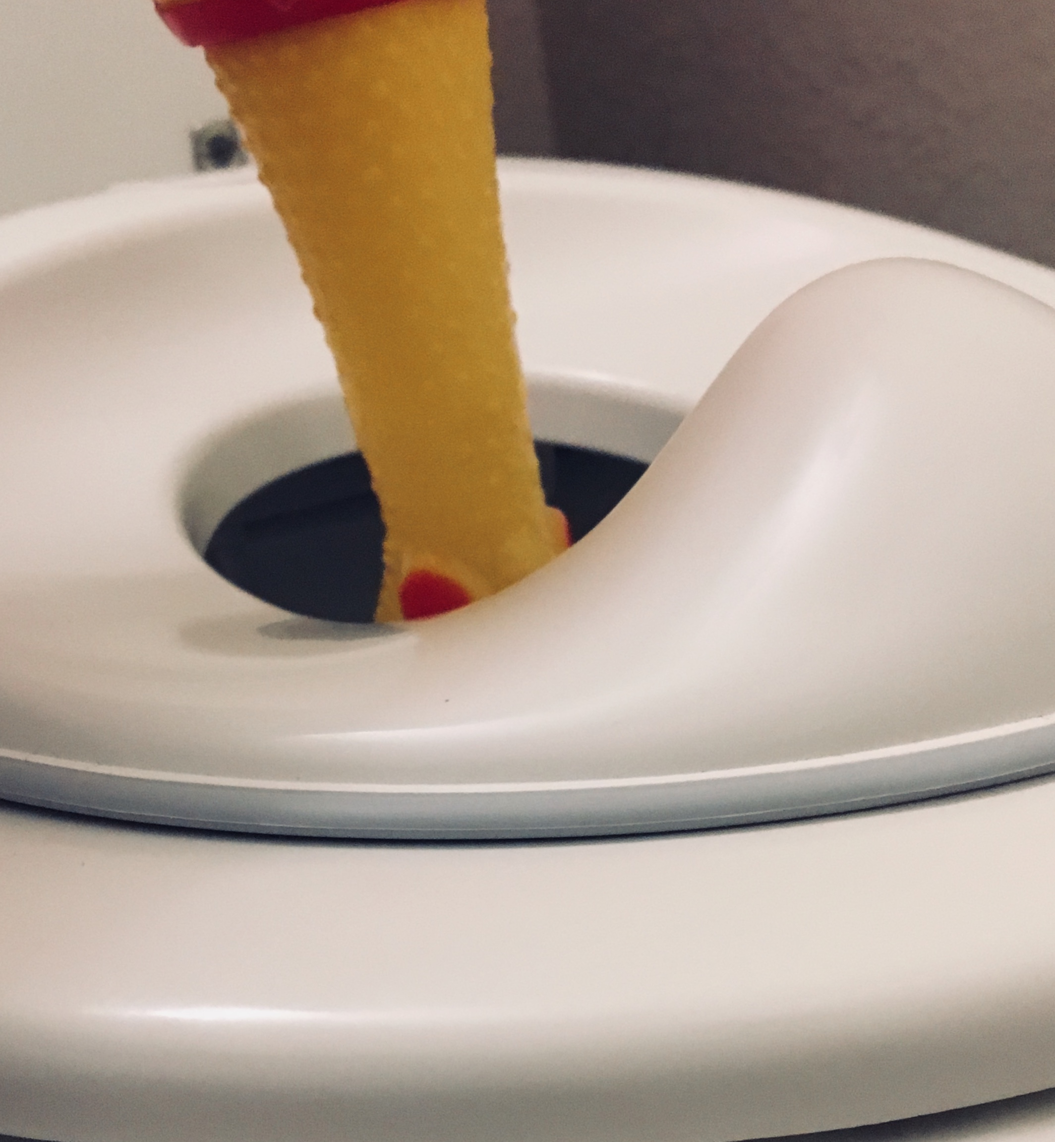 Potty Humor – finanigans